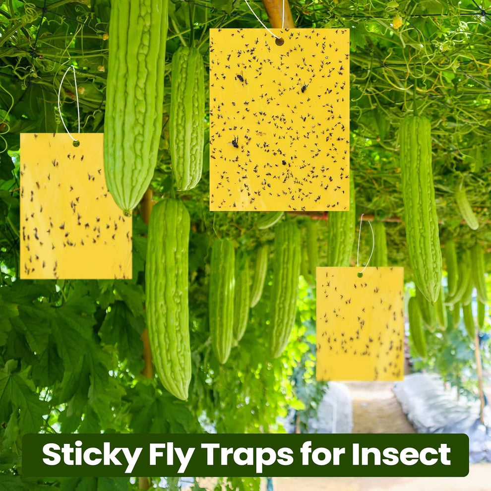 🌼 Sticky Shield Pest Traps | FLAT 50% 🔥 – happycart